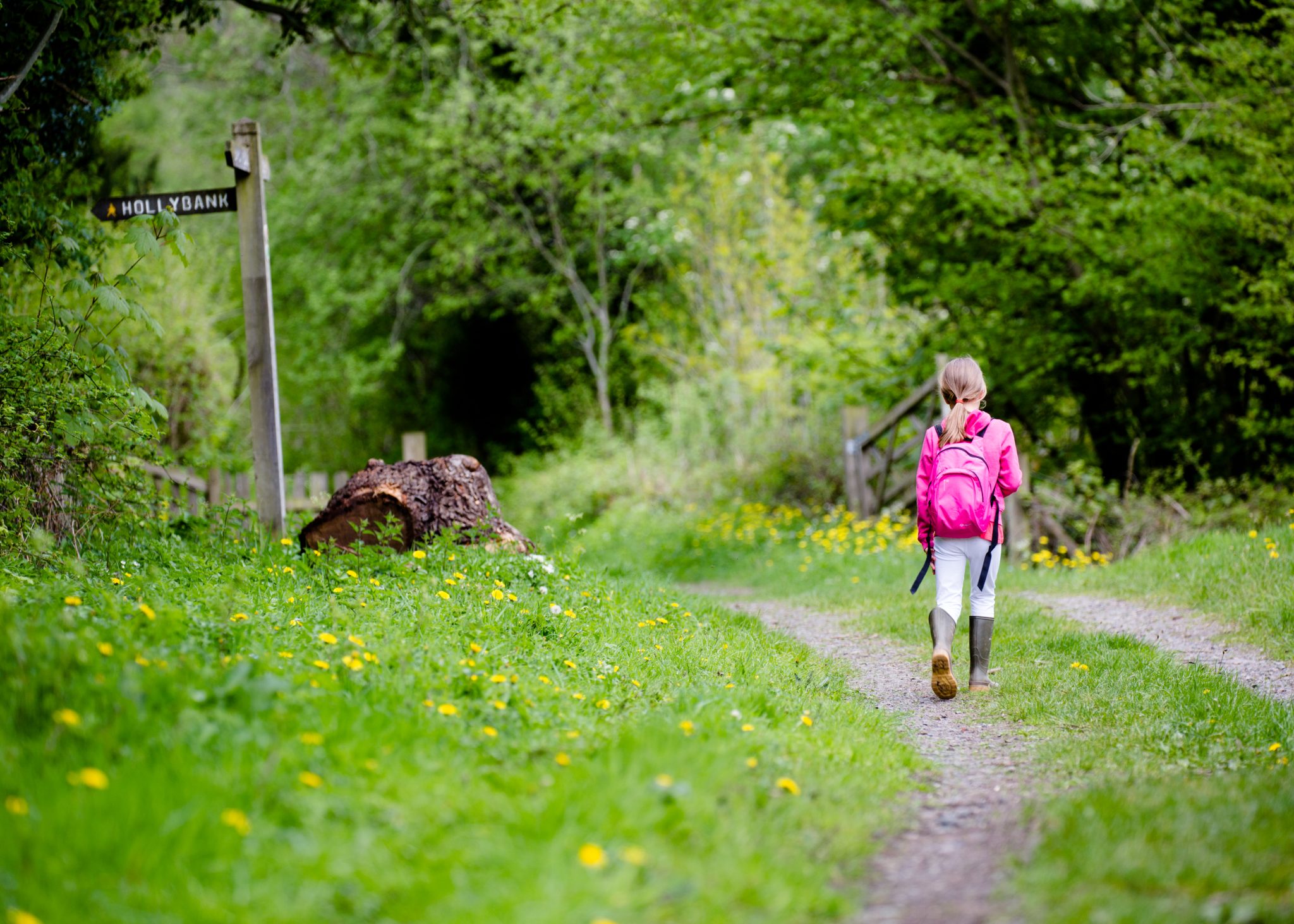 Ropewalk - Severn Gorge Countryside Trust